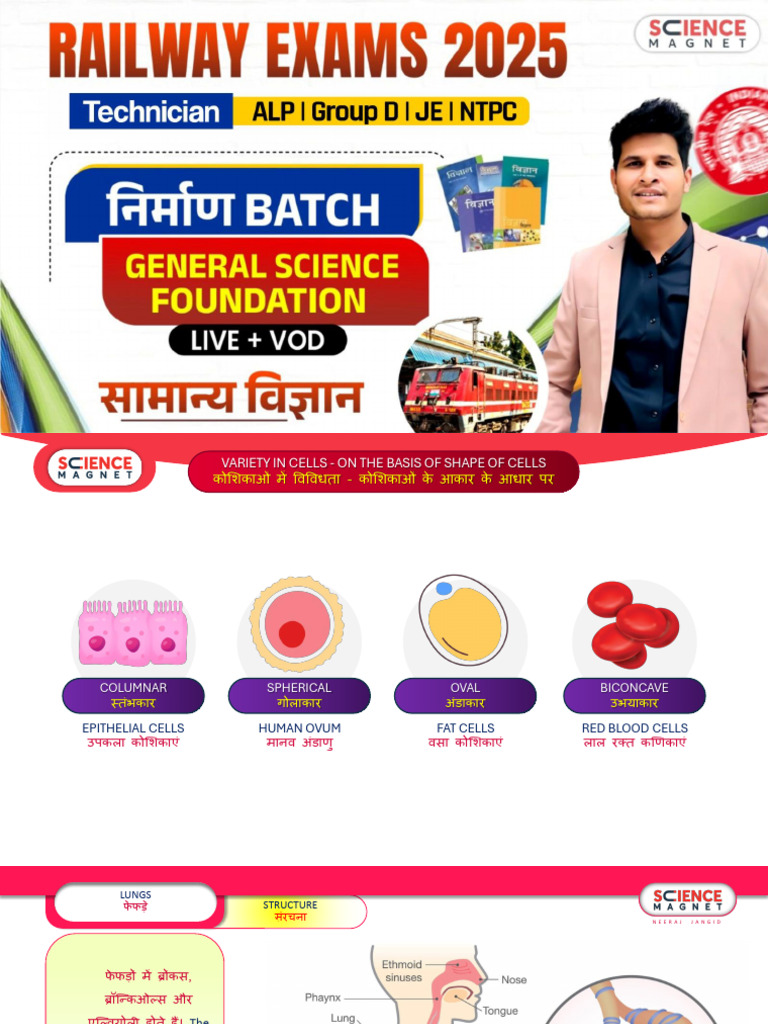 Science Erged Compressed Systems | PDF