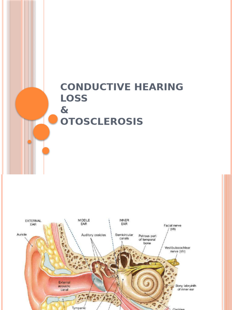 Conductive HL-Otosclerosis | PDF | Bone | Auditory System