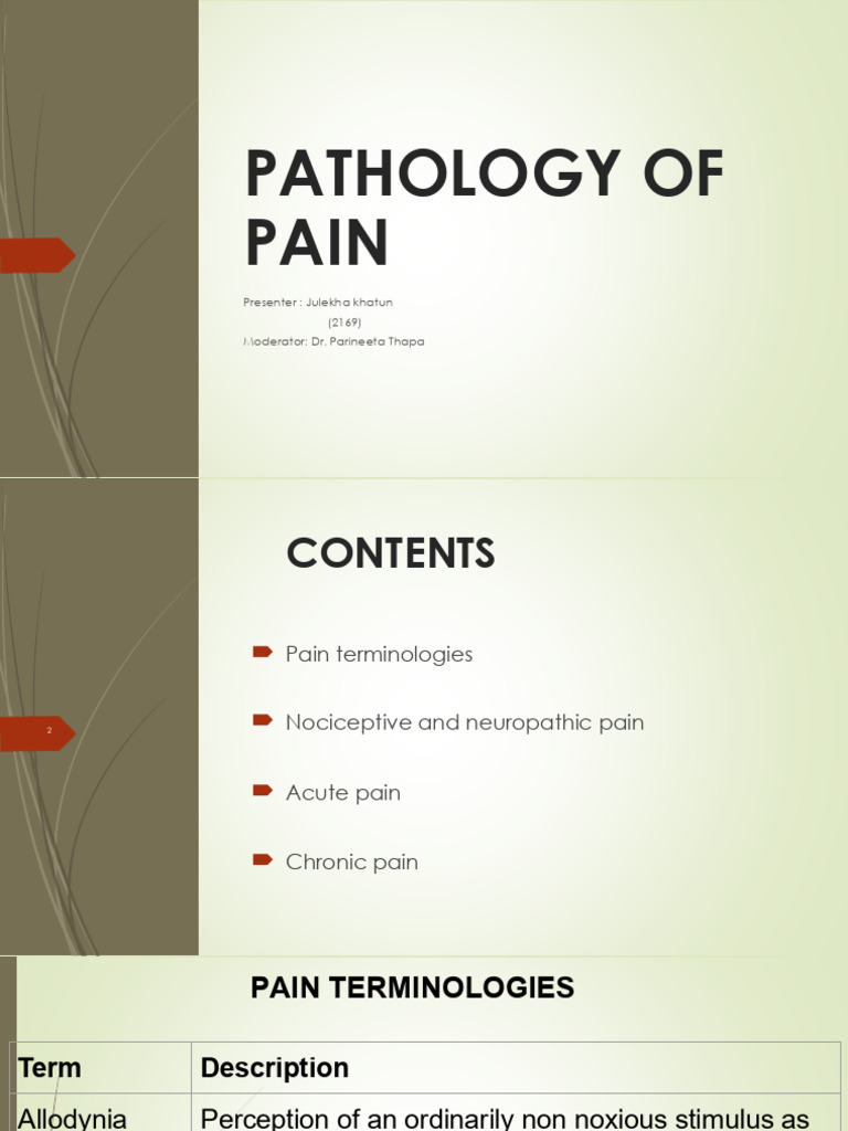 Classification of Pain Types | PDF | Pain | Chronic Pain