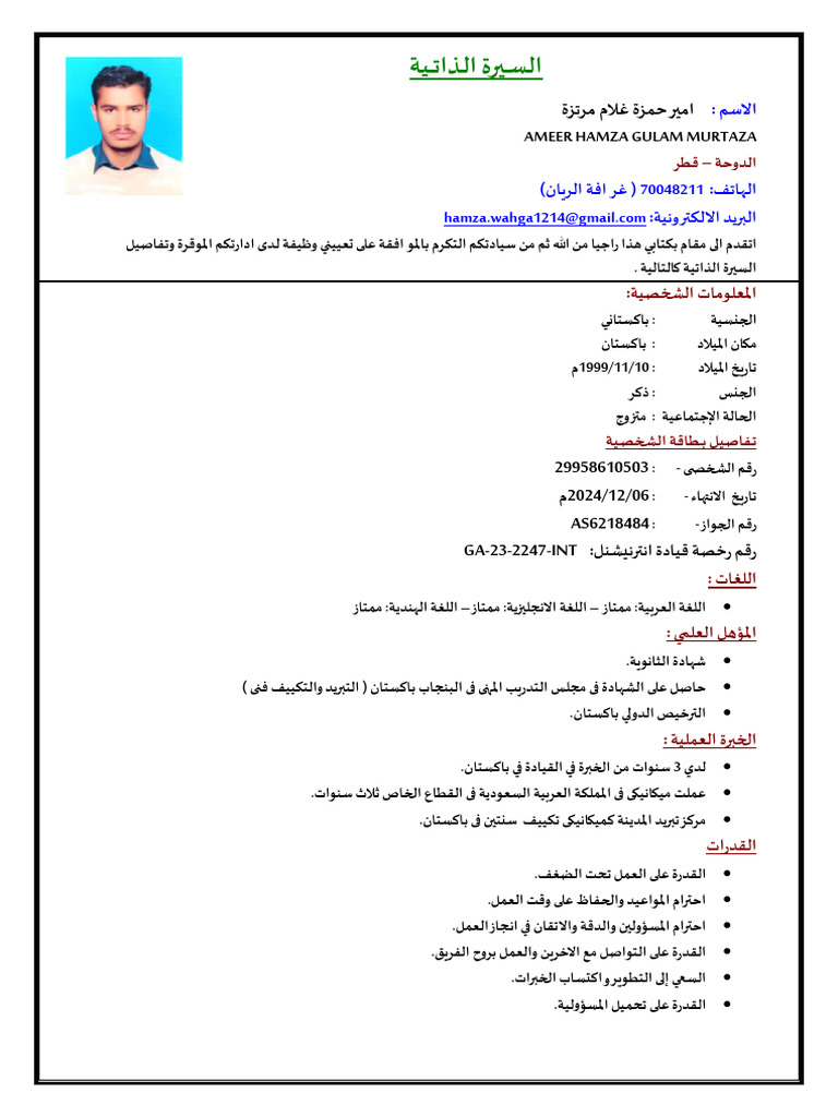 CV Qatar | PDF