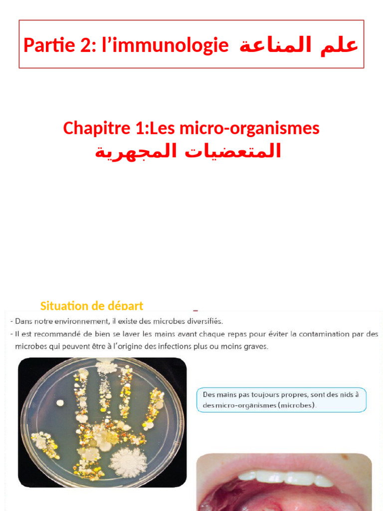 Chapitre 3 Les Microbes | PDF | Micro-organisme | Virus