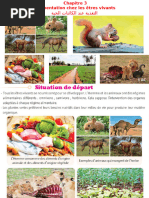 Dentition et Régime Alimentaire des Mammifères | PDF | Dent | Anatomie ...
