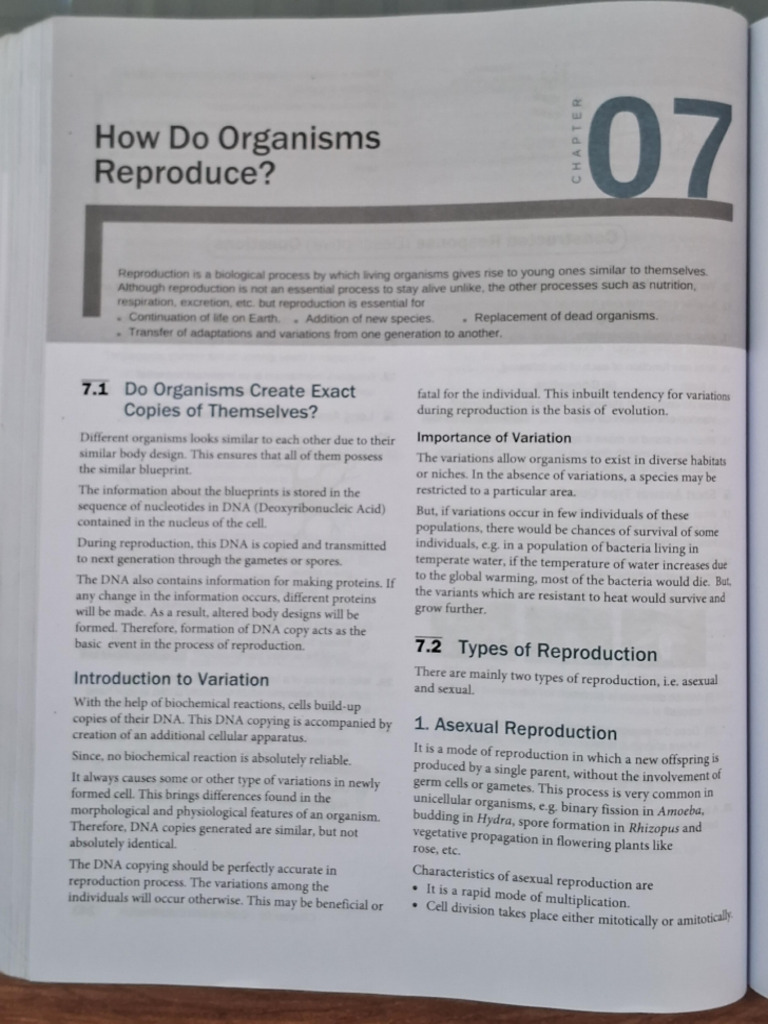 How Do Organism Reproduce | PDF