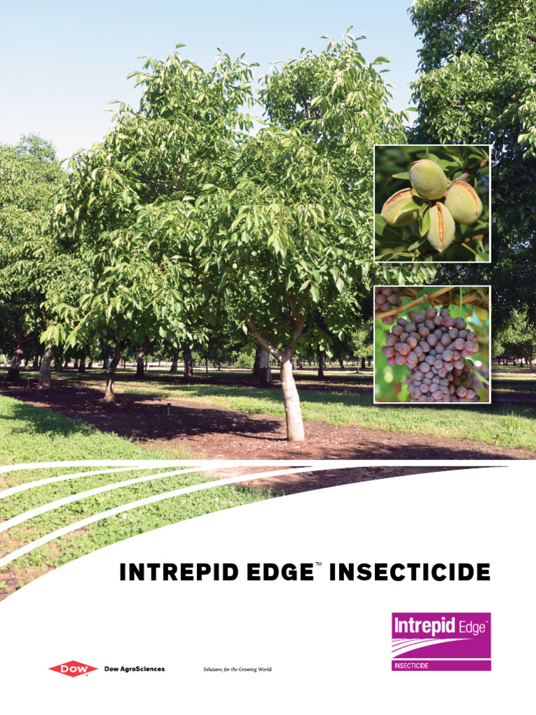 Intrepid Edge Insecticide Overview | PDF | Insecticide | Pest (Organism)