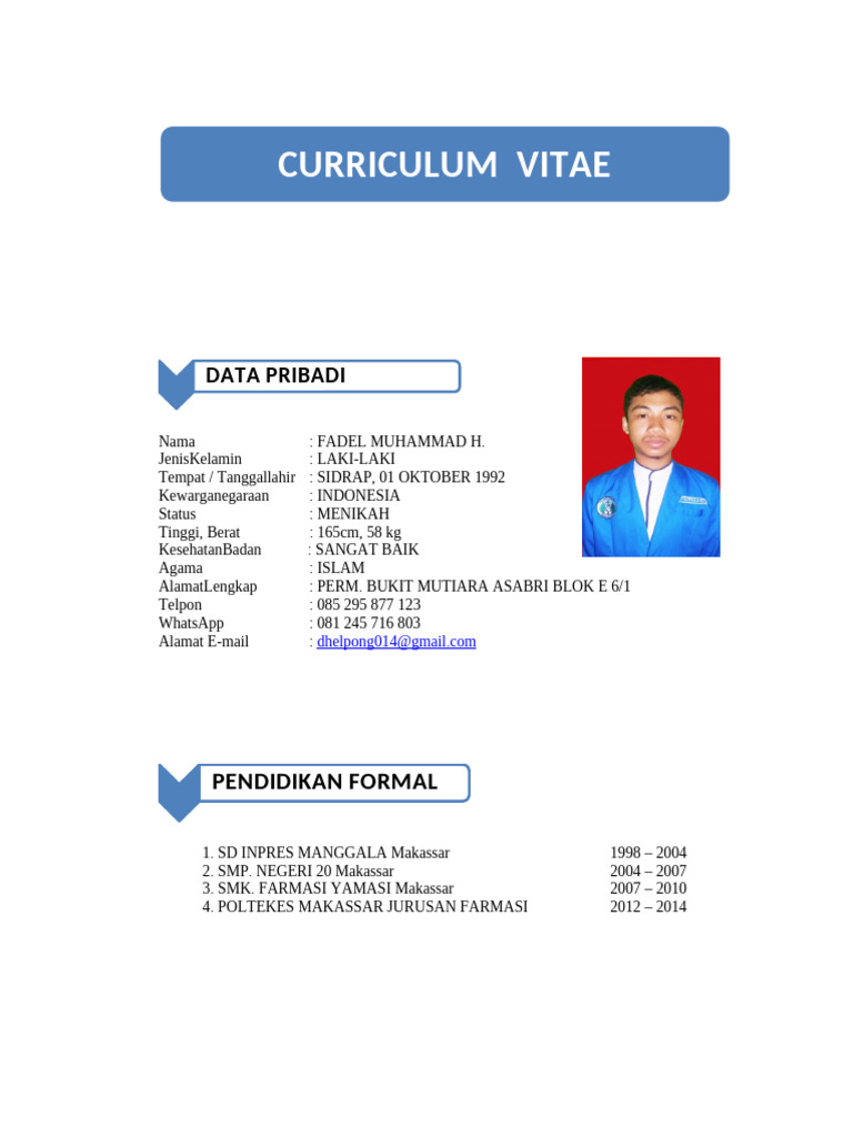 CV Fadel Muhammad H: Pendidikan & Karir | PDF