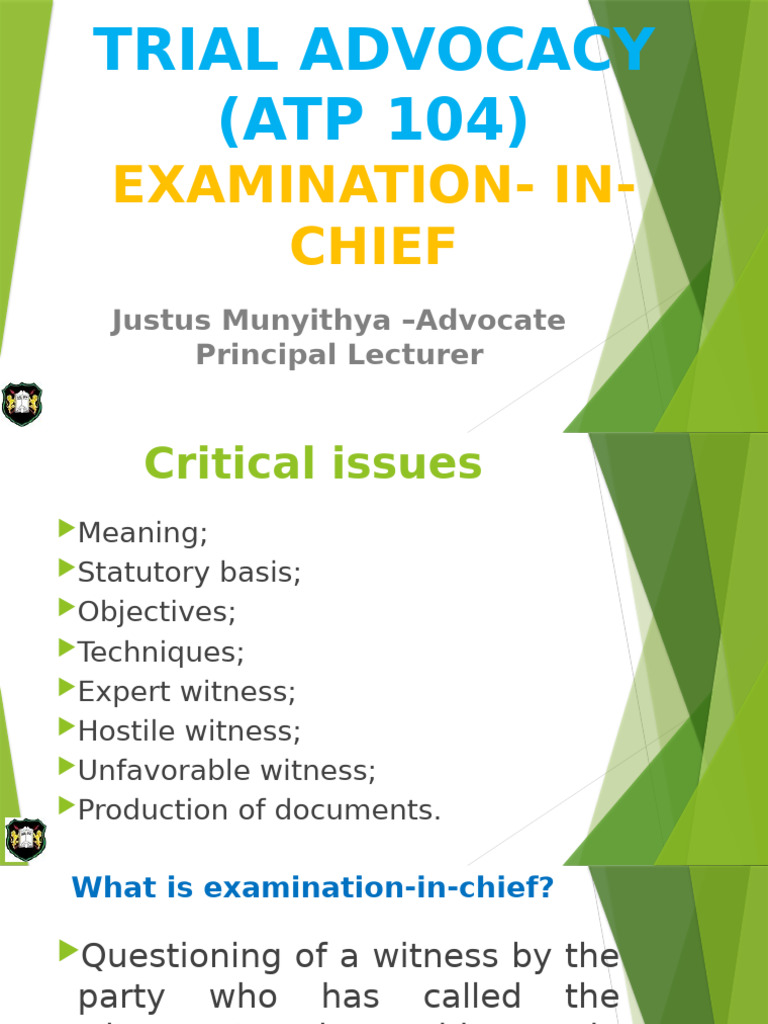 Understanding Examination-in-Chief Techniques | PDF | Witness | Cross ...