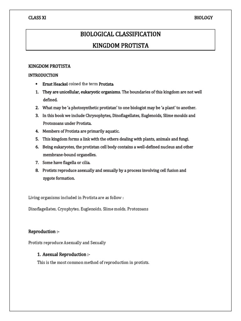 11bio2 Kingdom Protista | PDF | Protozoa | Sexual Reproduction