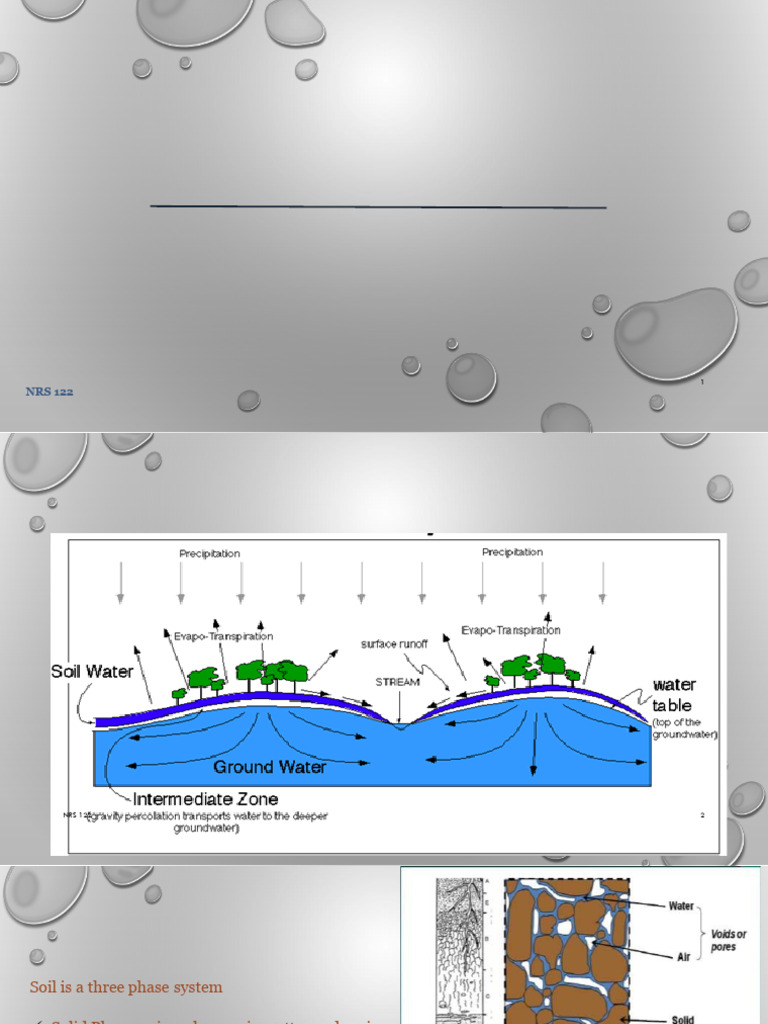 Soil-Water Relationships for Plants | PDF | Soil | Physical Sciences