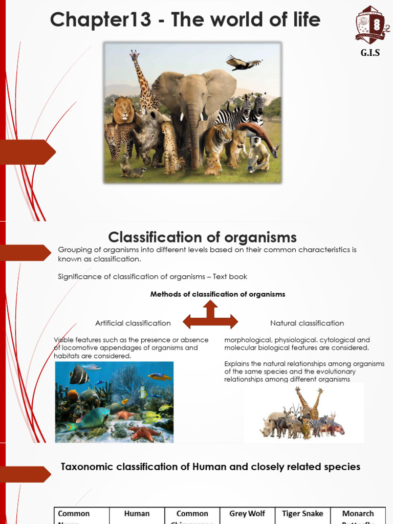 Classification of Organisms | PDF | Bacteria | Invertebrate