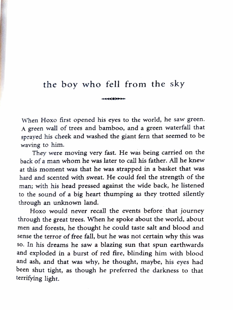 The Boy Who Fell From The Sky | PDF
