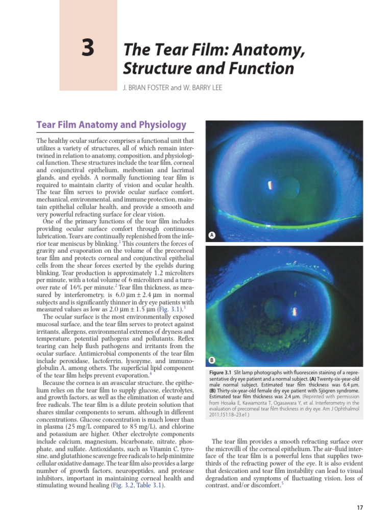 Anatomy and Function of Tear Film | PDF | Cornea | Epithelium
