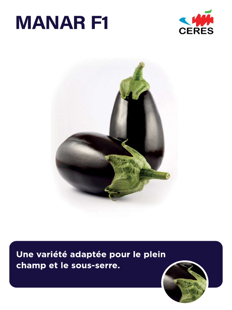 Fiche Technique Manar f1 | PDF