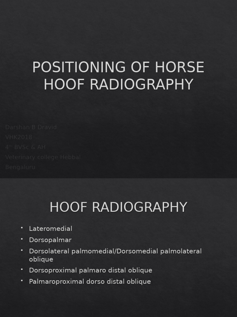 Horse Hoof | PDF | Anatomical Terms Of Location | Foot