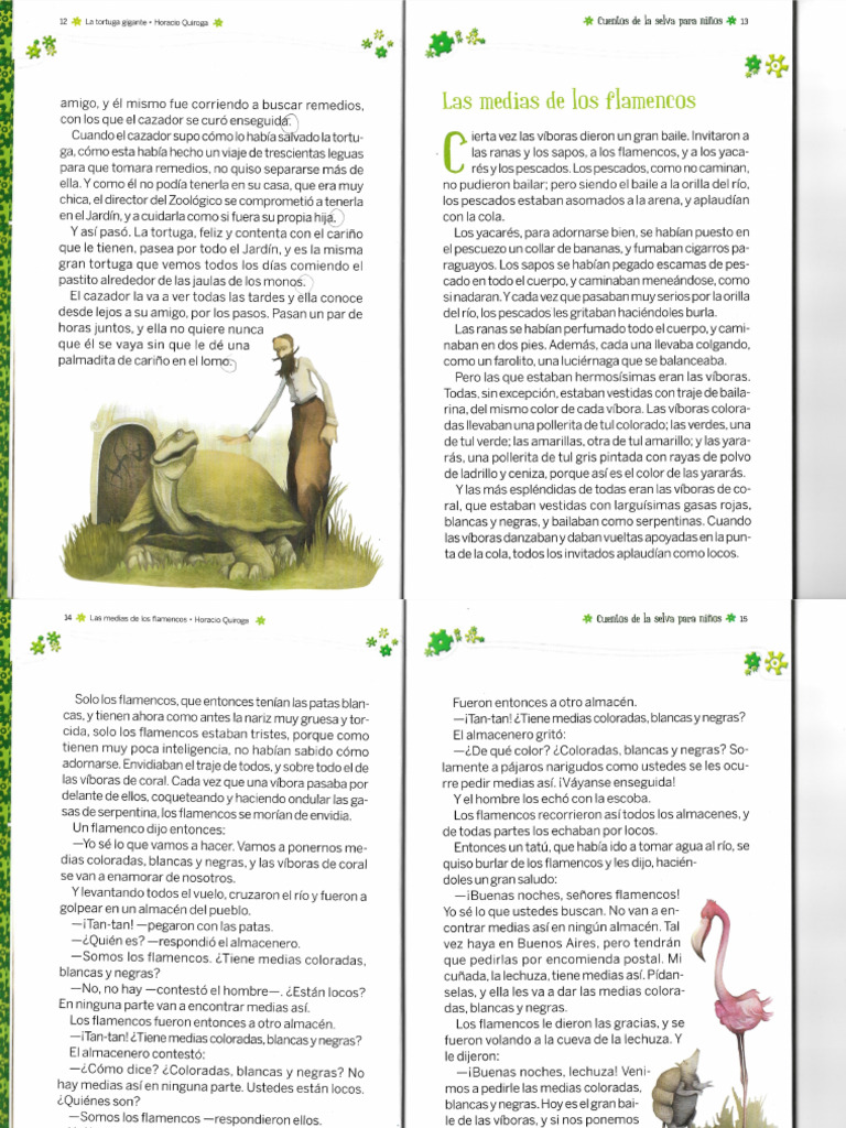 Las Medias de Los Flamencos | PDF