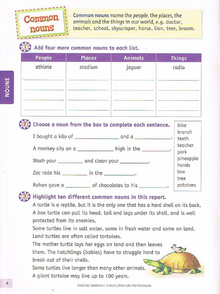 Targeting Gammar 4 - Pg4 | PDF