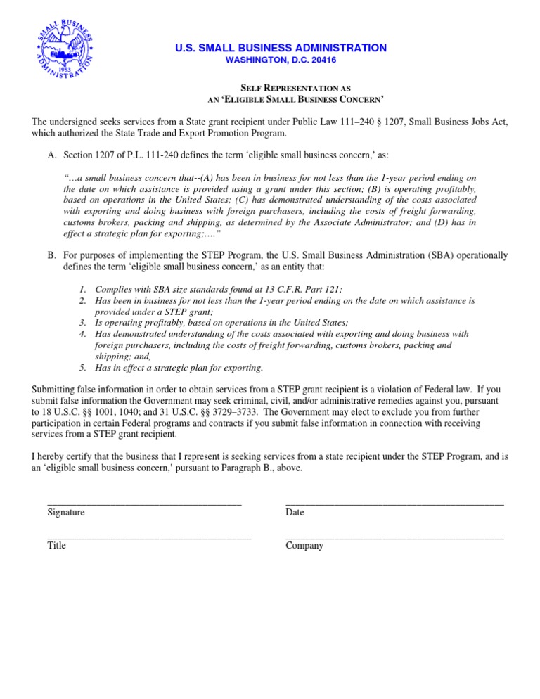 SBA Self Representation Form | PDF | Small Business | Small Business ...