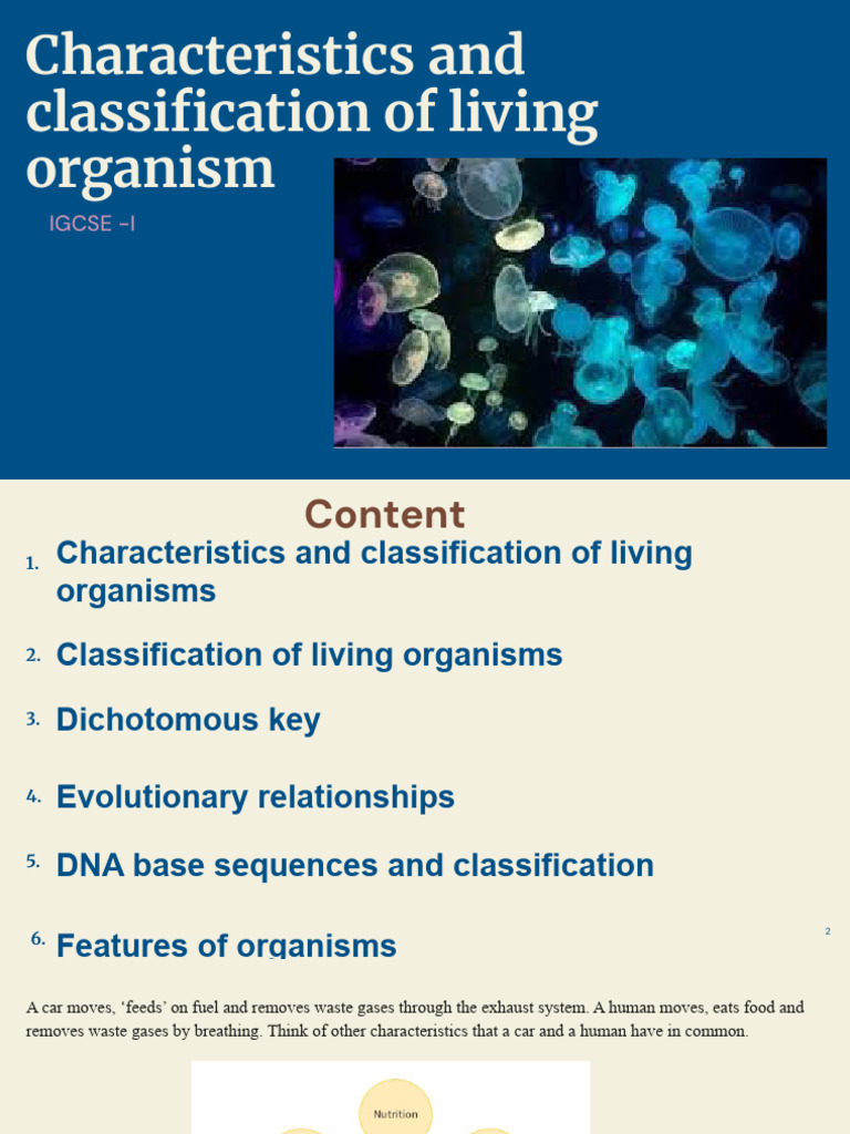 Characteristics and Classification of Organisms | PDF | Species | Nutrition
