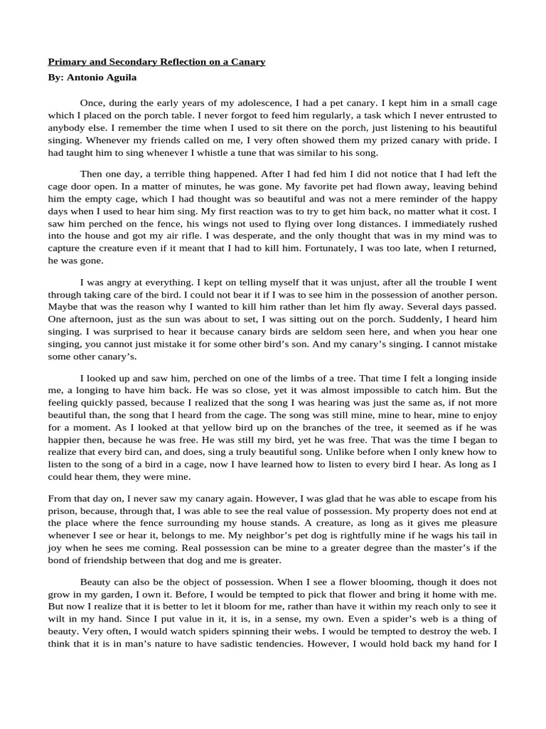 Phenomenological Reflection Examples | PDF | Camera | Digital Camera