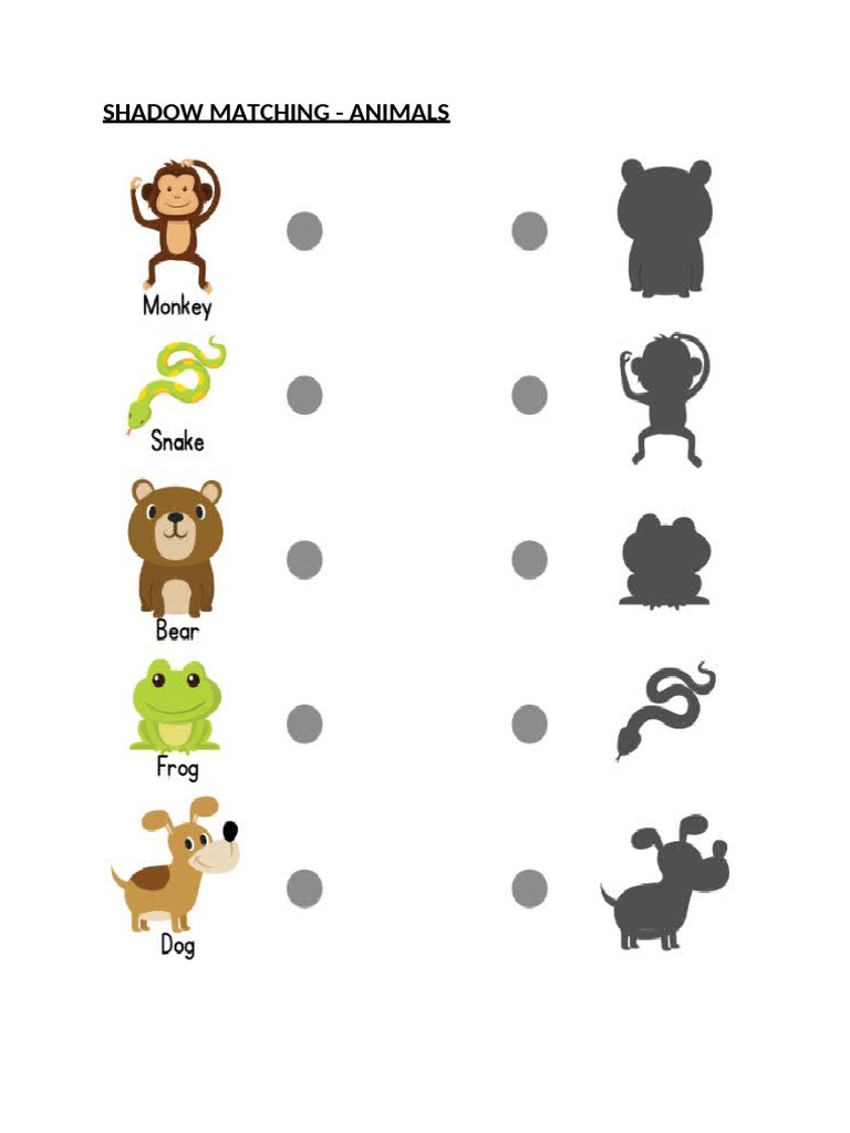 Shadow Matching | PDF