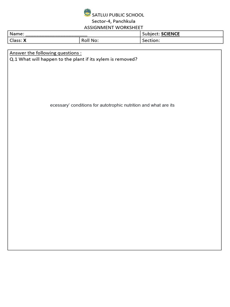 Best 10th Science Worksheet | PDF