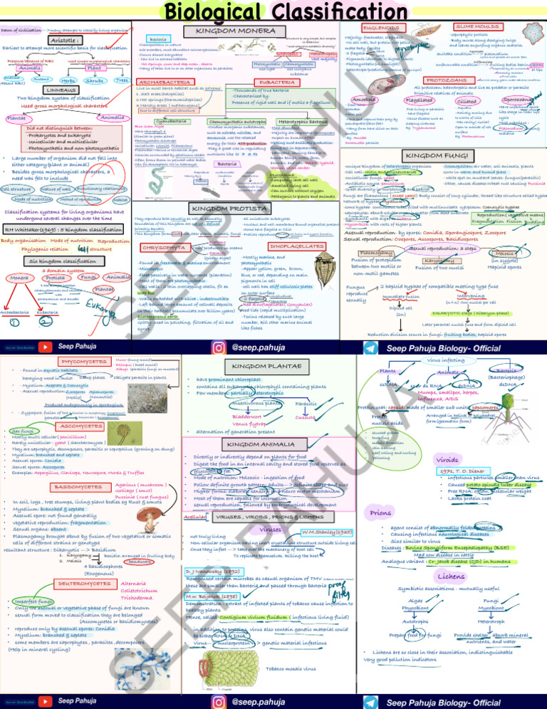 Understanding Biological Classification | PDF | Fungus | Sexual ...