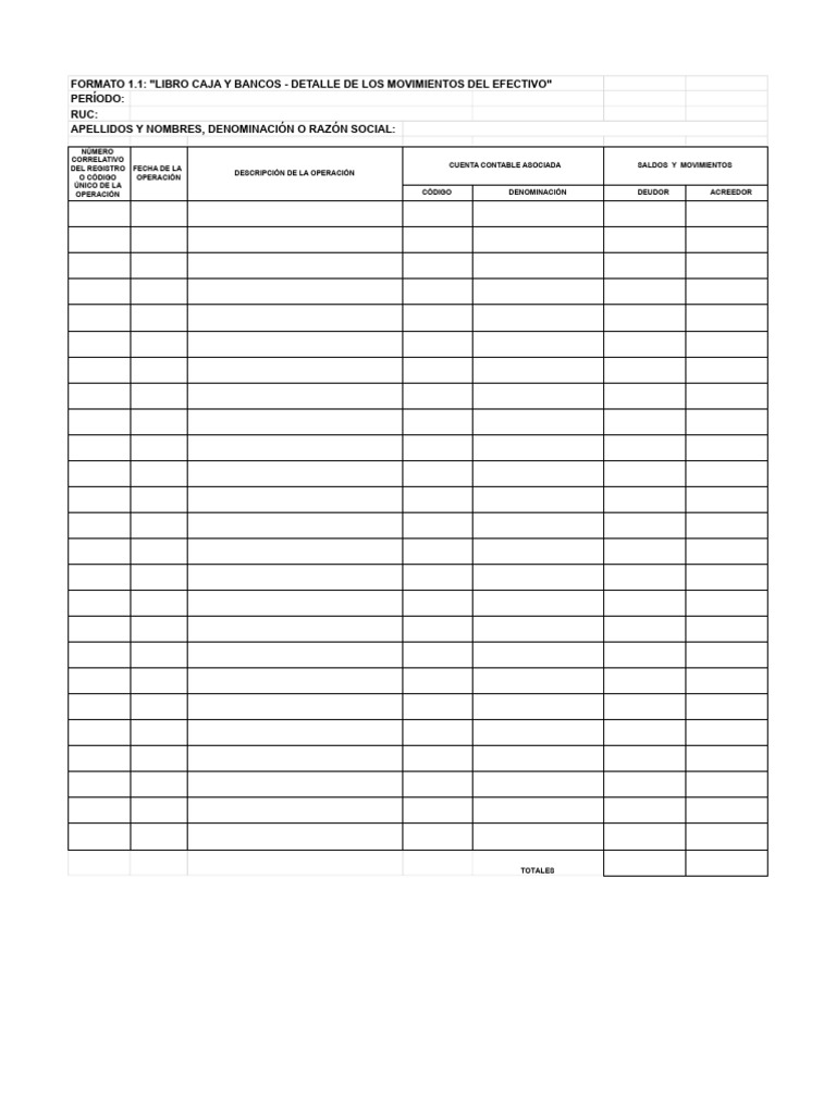 Formato Libro Caja y Bancos | PDF