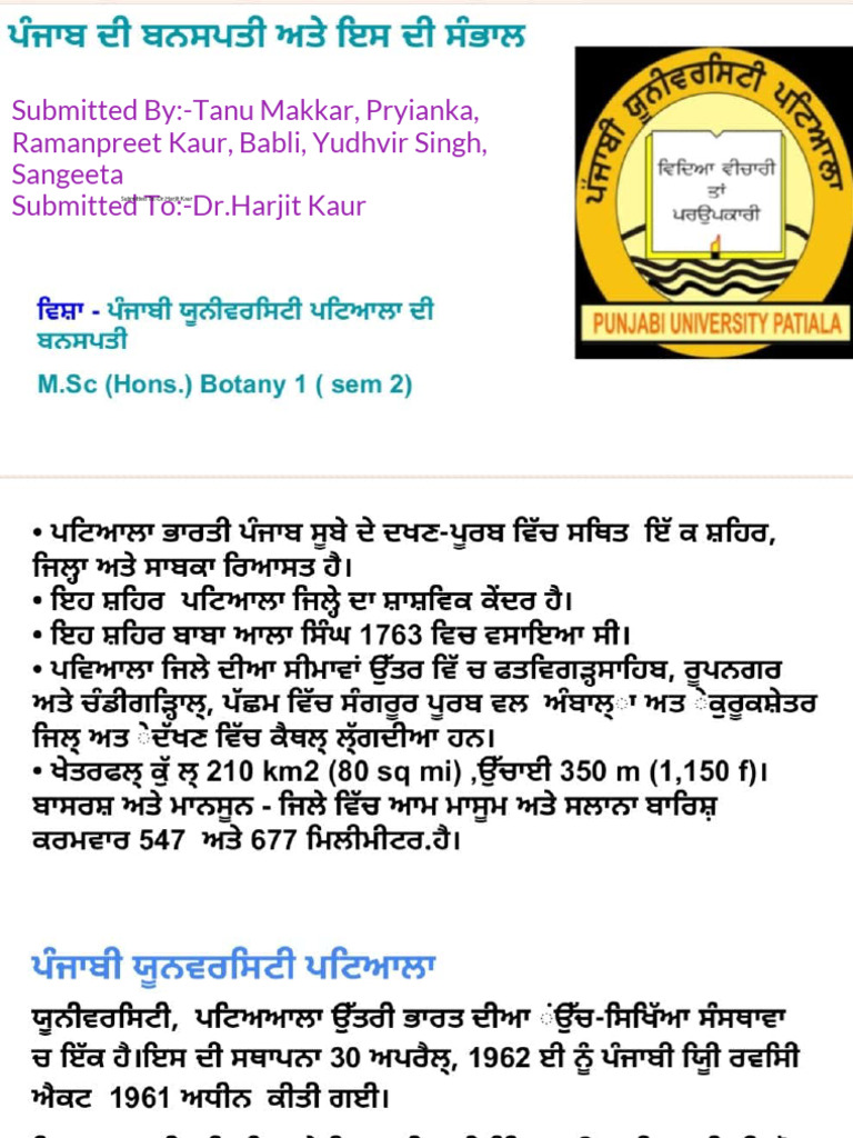 Final Assignment | PDF