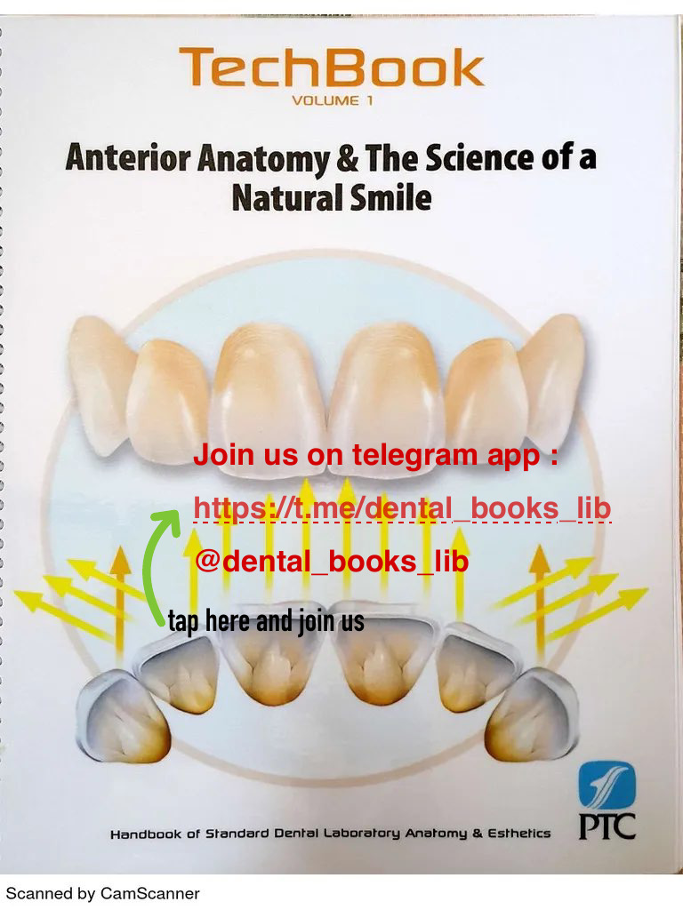 Anterior Anatomy for Natural Smiles | PDF