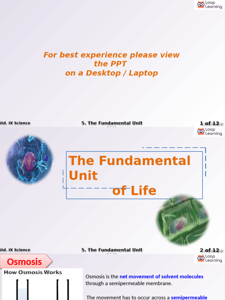 Understanding Osmosis and Tonicity | PDF | Osmosis | Cell Membrane