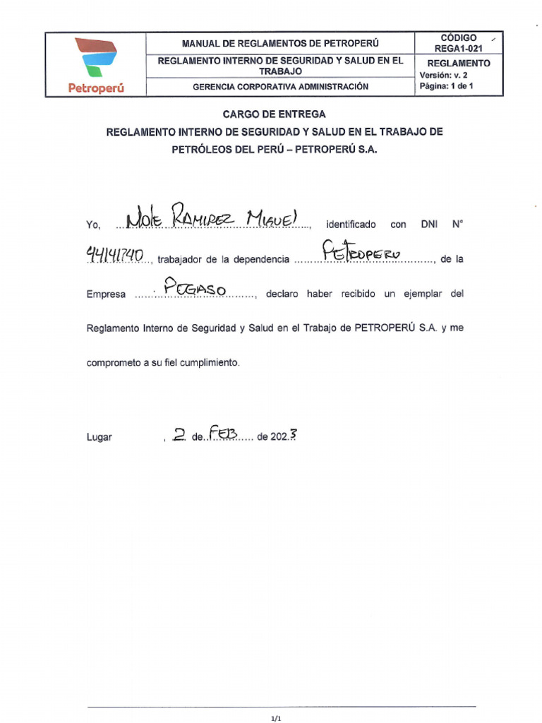 Cargo Entrega Risst 1 | PDF