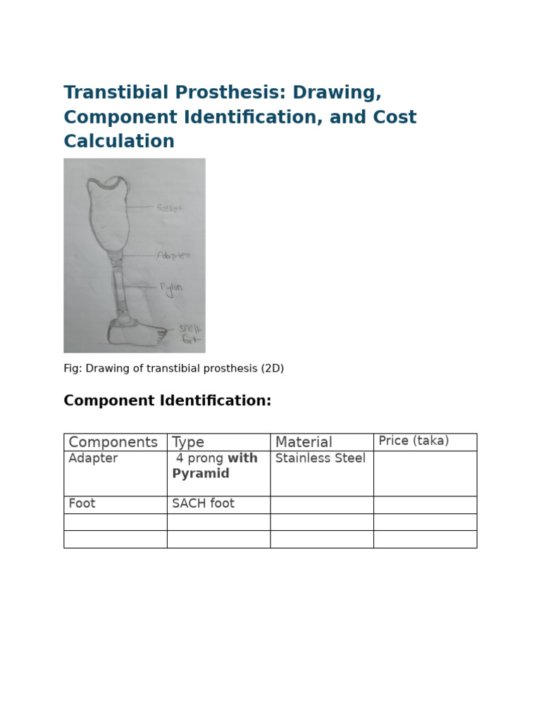 Transtibial Prosthesis | PDF