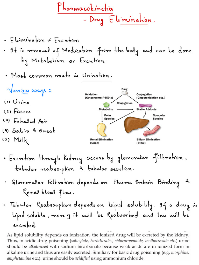Drug Elimination and Excretion Methods | PDF | Kidney | Pharmacokinetics
