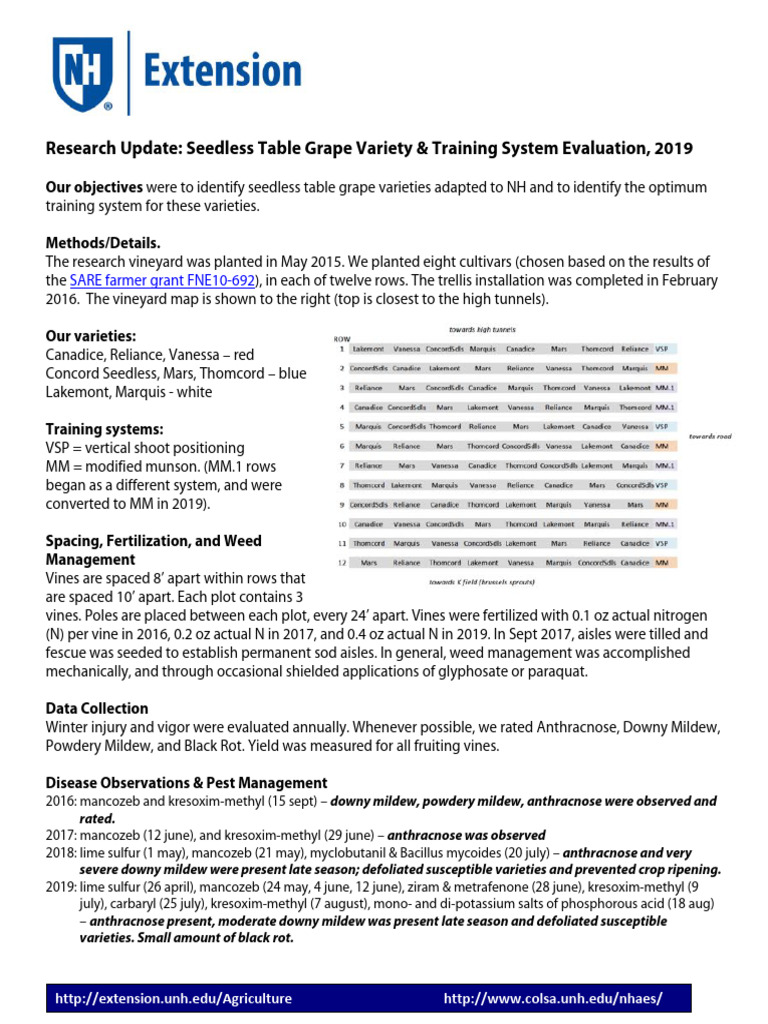 Research Update Seedless Table Grape Variety & Training System E | PDF | Grape | Agriculture