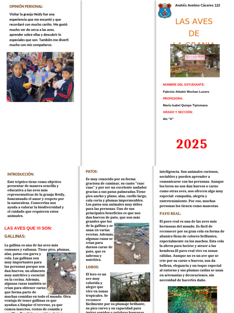 Triptico Aves Gallo Pato Loro PavoRealyhj | PDF | Pollo | Aves