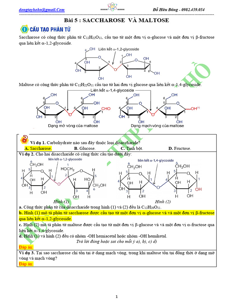 Bài 5. Saccarose-Maltose 2025 Gui LT | PDF