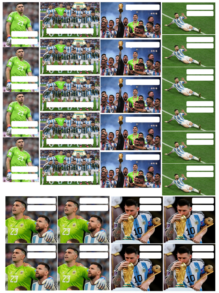 Rotulos Seleccion | PDF