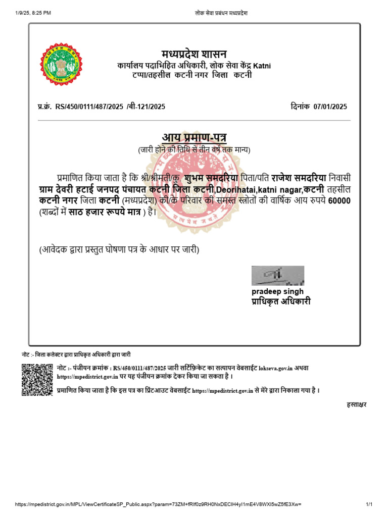 Shubham Income | PDF