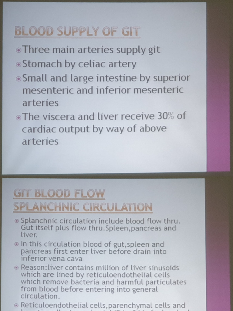GIT Blood Flow and Splanchnic Circulation | PDF | Liver | Circulatory ...