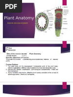 Plants Specialized Structures | PDF