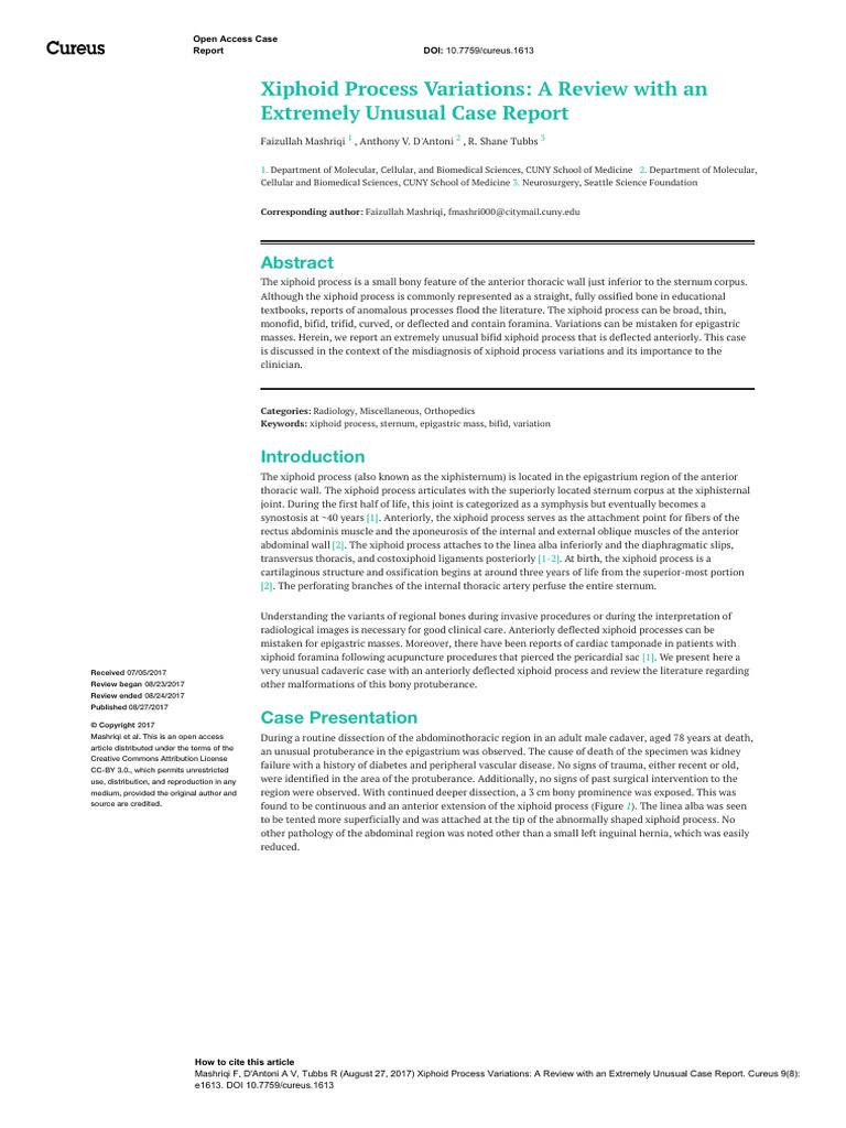 Xiphoid Process Variations | PDF