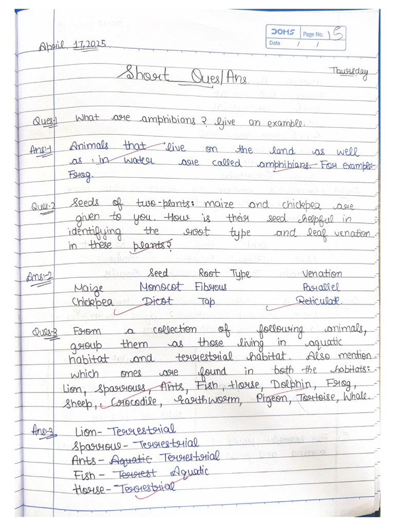 Science 2nd Chapter Class 6th | PDF