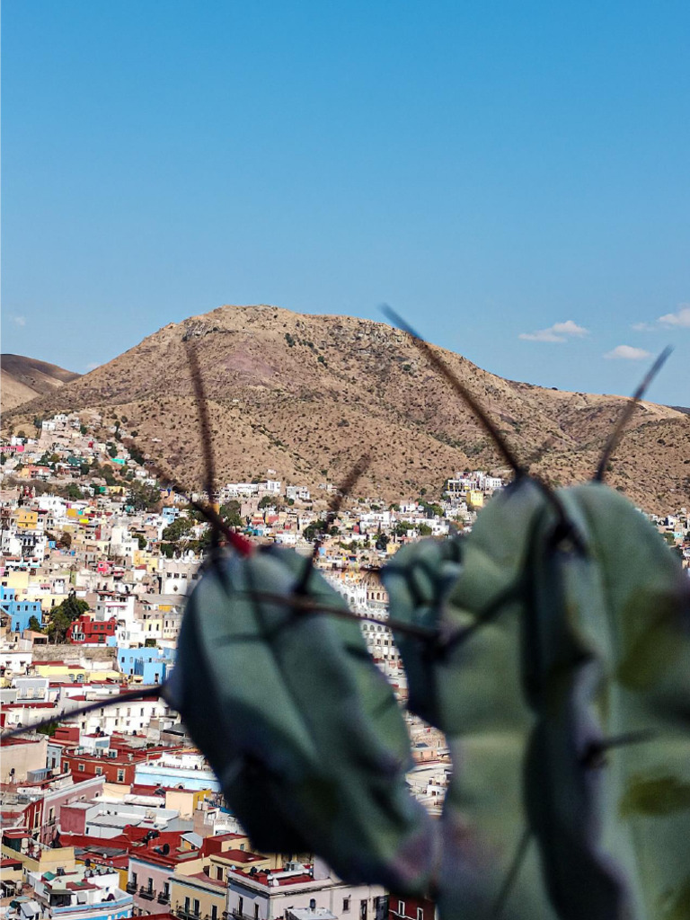 Paleta Vegetal de Guanajuato | PDF | Sustentabilidad | Cartografía
