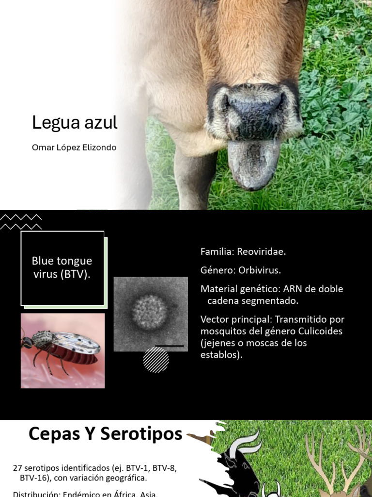 Legua azul | PDF | Virus | Microbiología