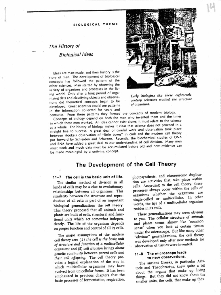 The Development of Cell Theory | PDF