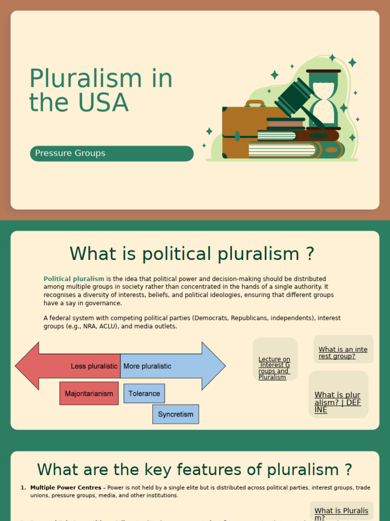 Political Pluralism in The USA | PDF | National Rifle Association | Gun ...