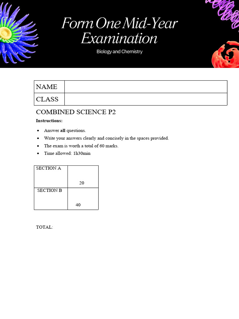 Form One Mid-Year Examination 20250630 090437 0000 | PDF | Rust | Solubility