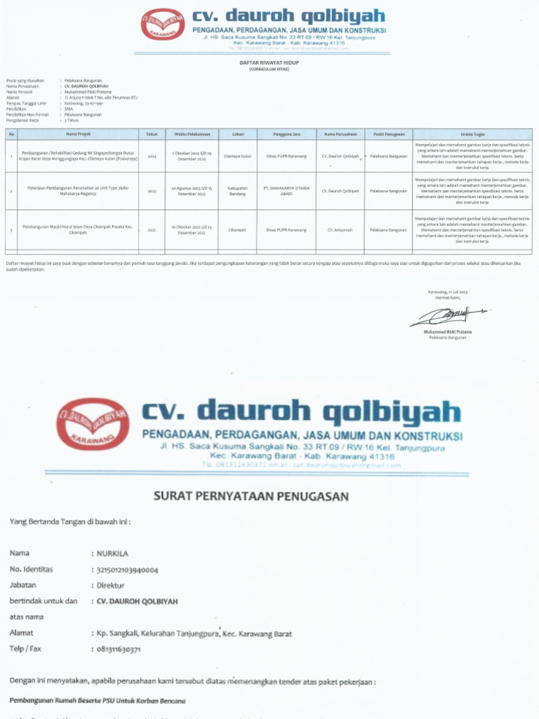 CV Dan ST PSU | PDF