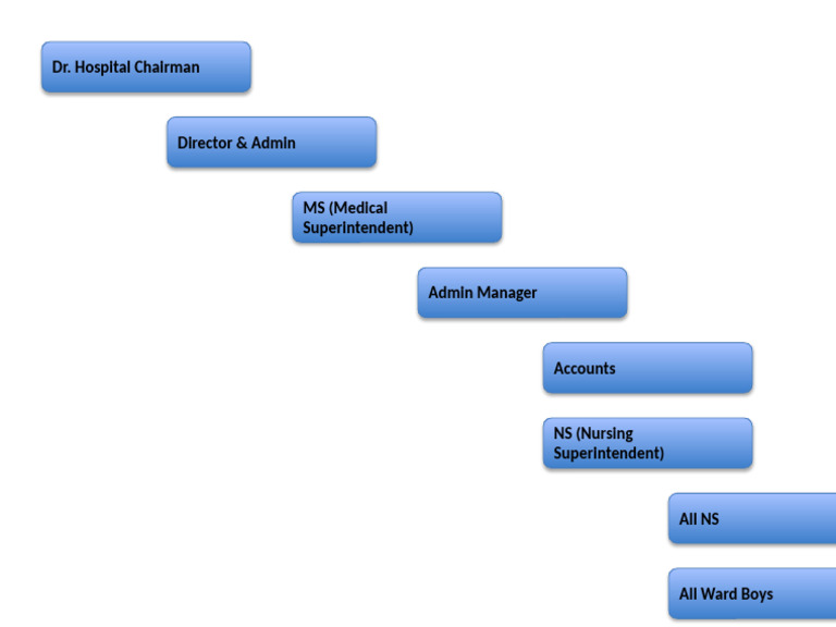 Hospital Organization Chart | PDF