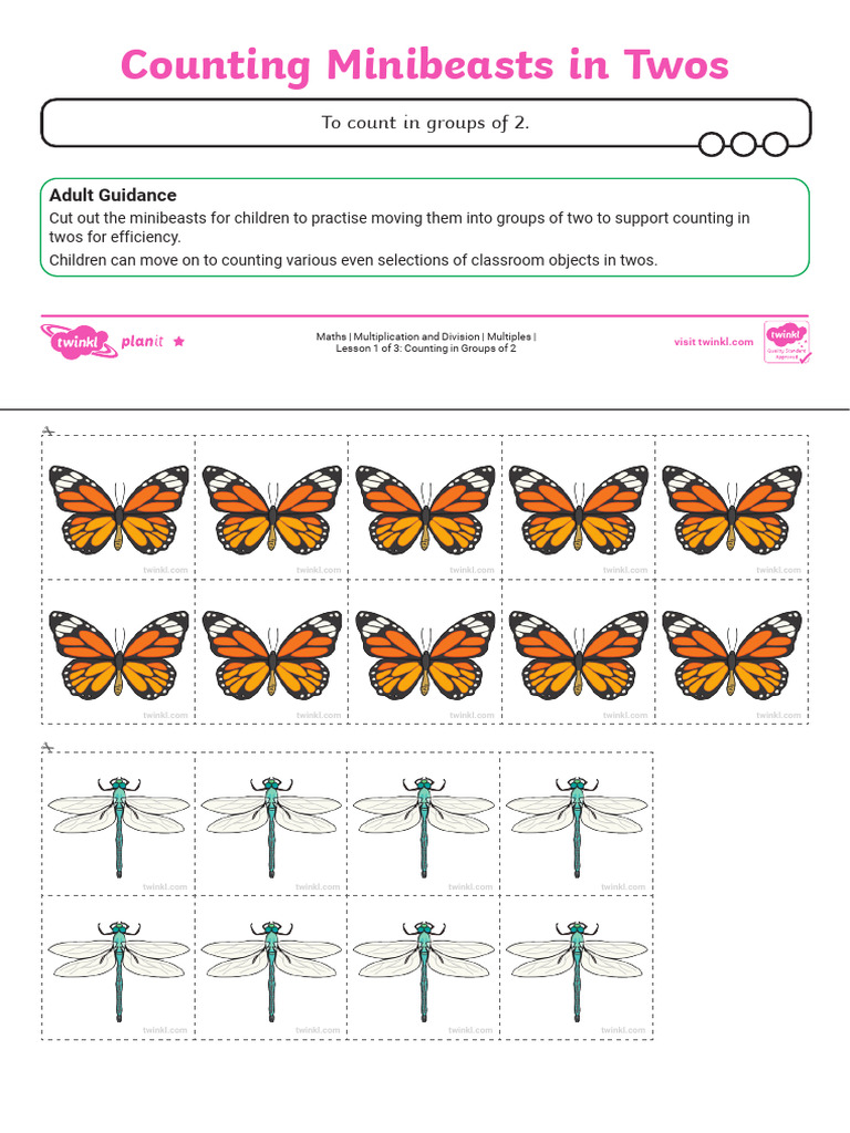 Counting Minibeasts in Twos Activity Sheets | PDF | Insects And Humans | Insects