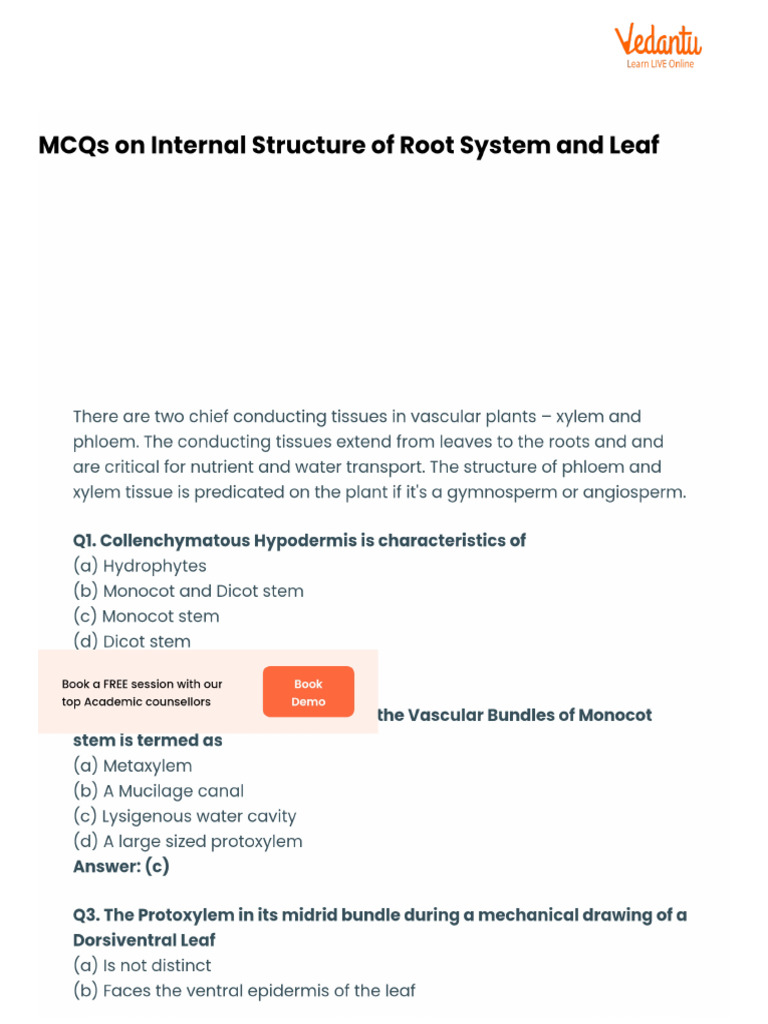 MCQs on Internal Structure of Root System and Leaf | PDF